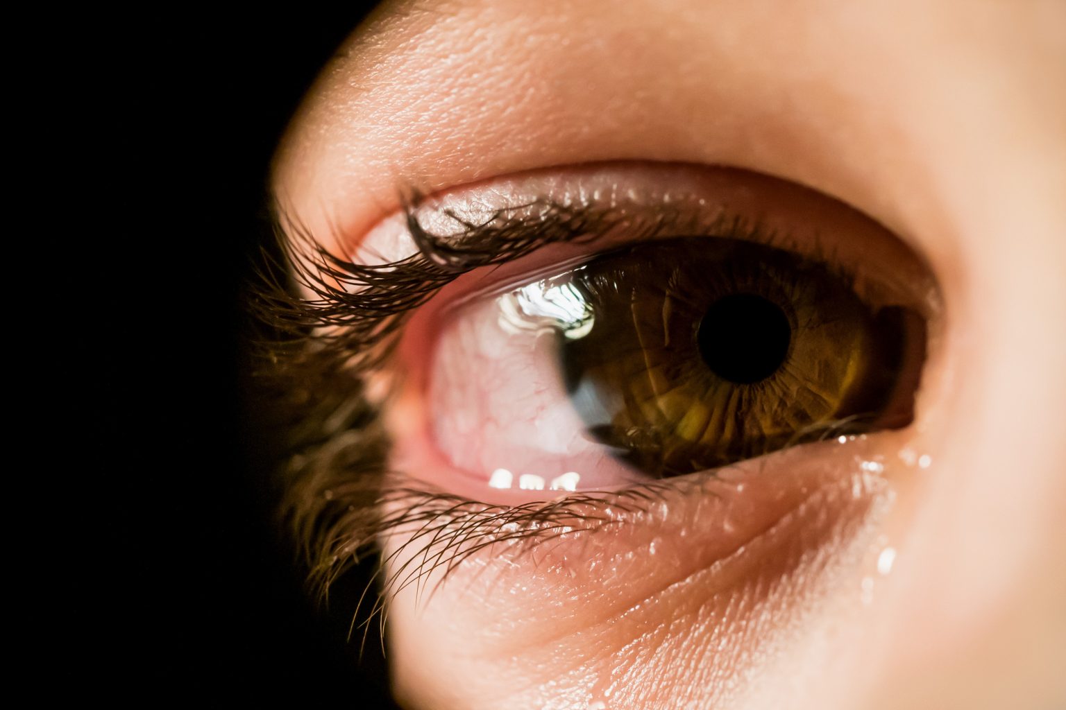 The Howard League | PAVA spray Q & A